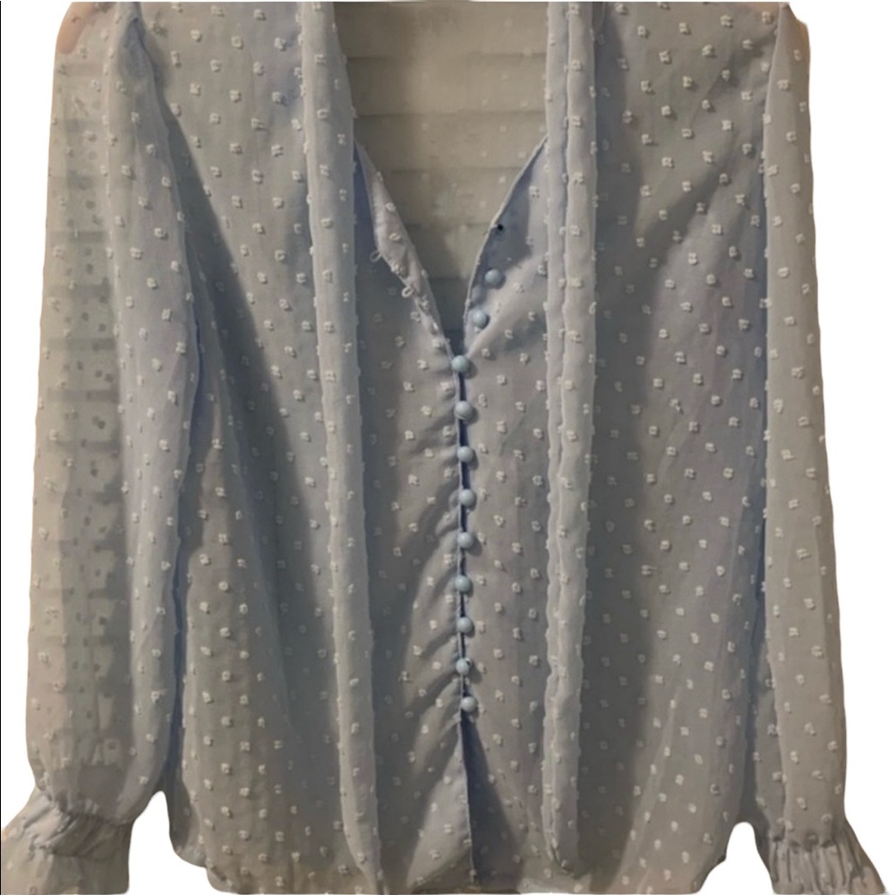 Sheer Button Down Ruffle Blouse - Gem